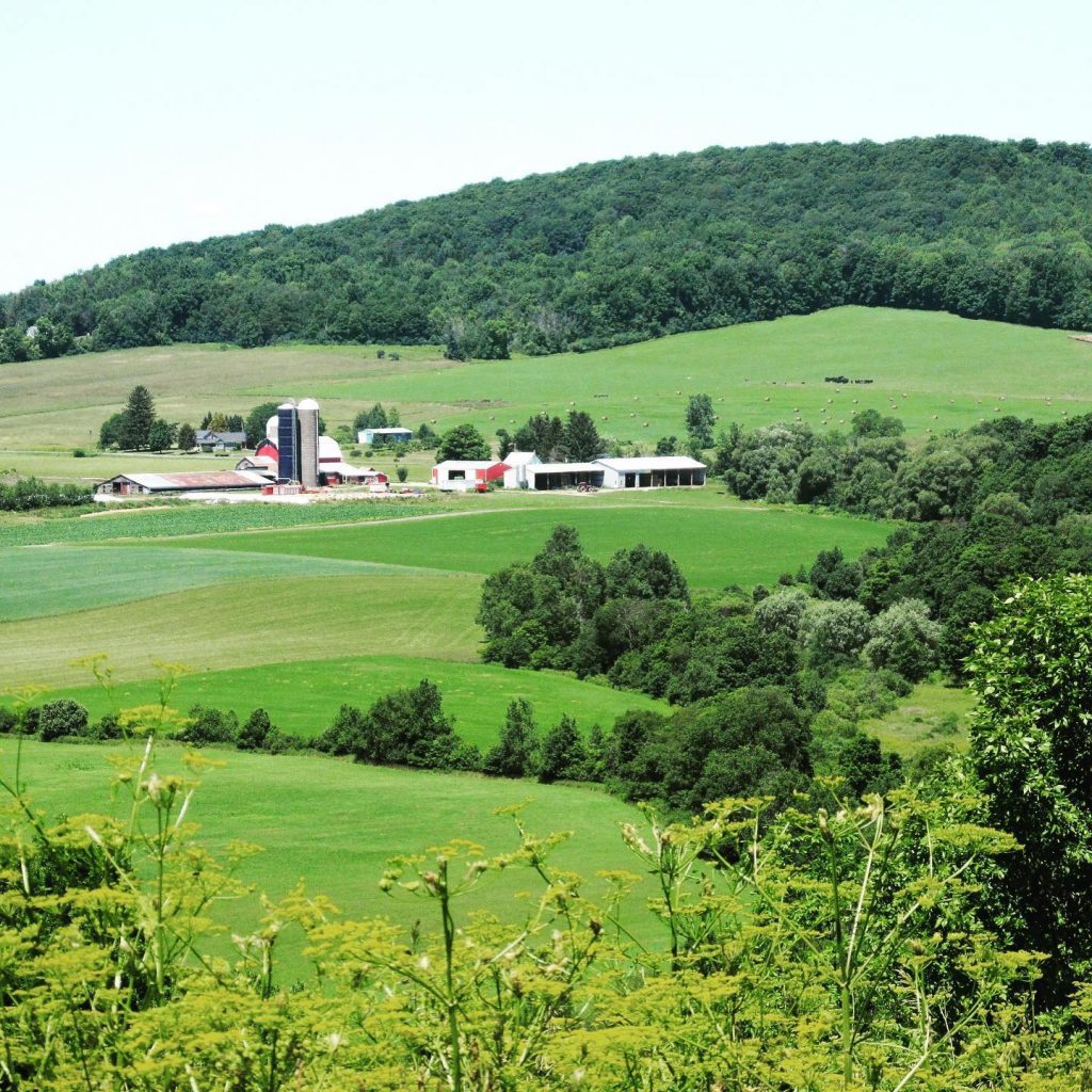 Early settlers in Town of Harford : Cortland County Historical Society
